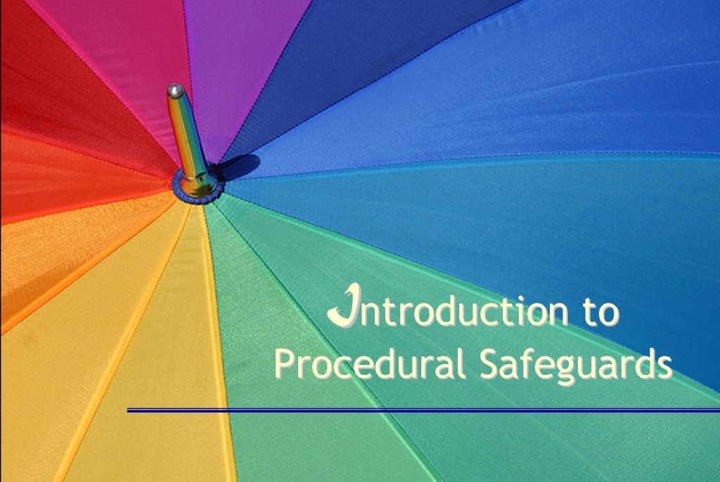 Module 10: Introduction to Procedural Safeguards in Early Intervention ...